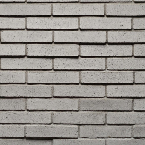 Tenley Brick
